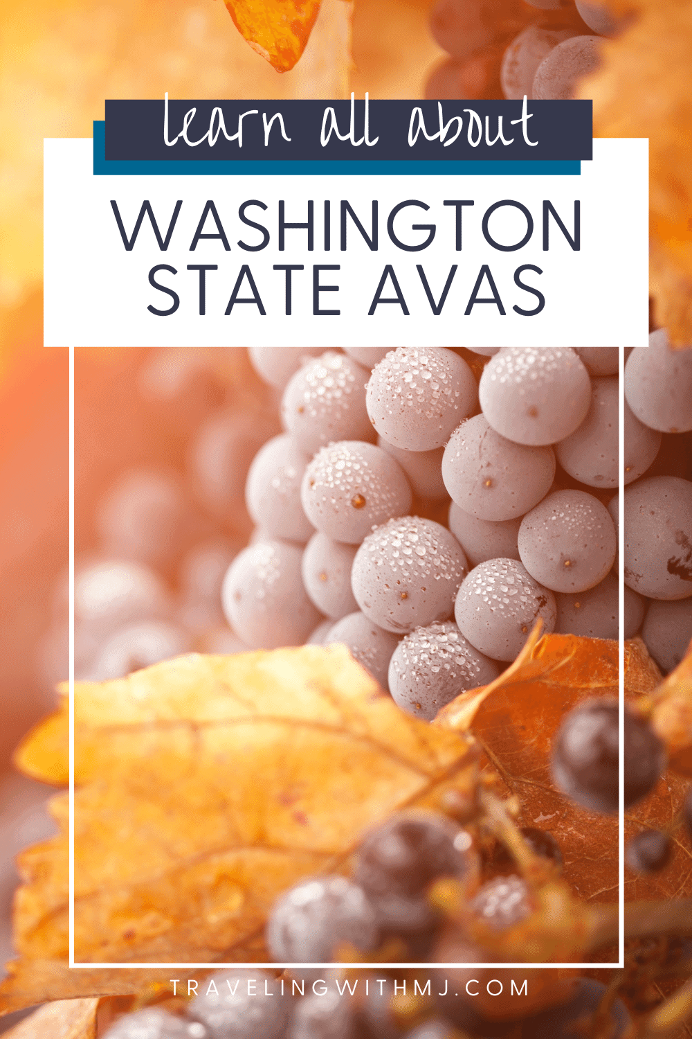 Learn All About Washington State AVAs (Wine Regions) | Traveling with ...