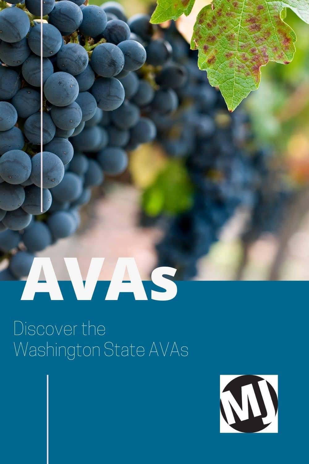 Learn All About Washington State AVAs (Wine Regions) - Traveling with MJ